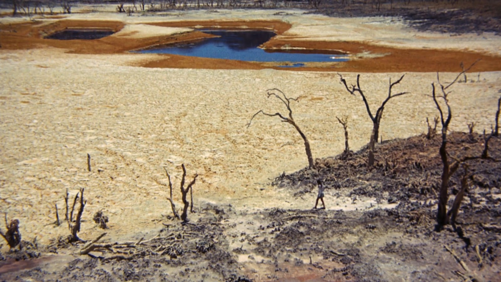 Walkabout (1971) | bonjourtristesse.net